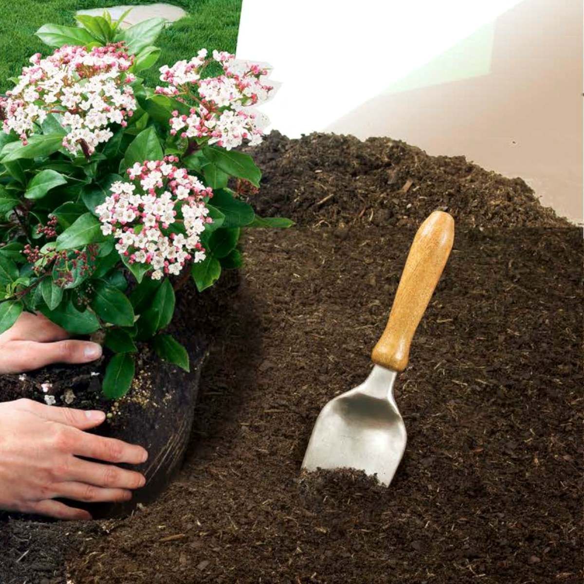 Soil mix and compost, what is the difference? Ingredients, uses ...