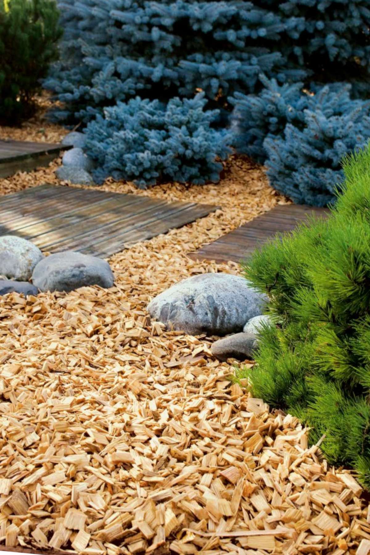 Wood chip mulch - perfect for growing beds to enrich soil, recycle waste