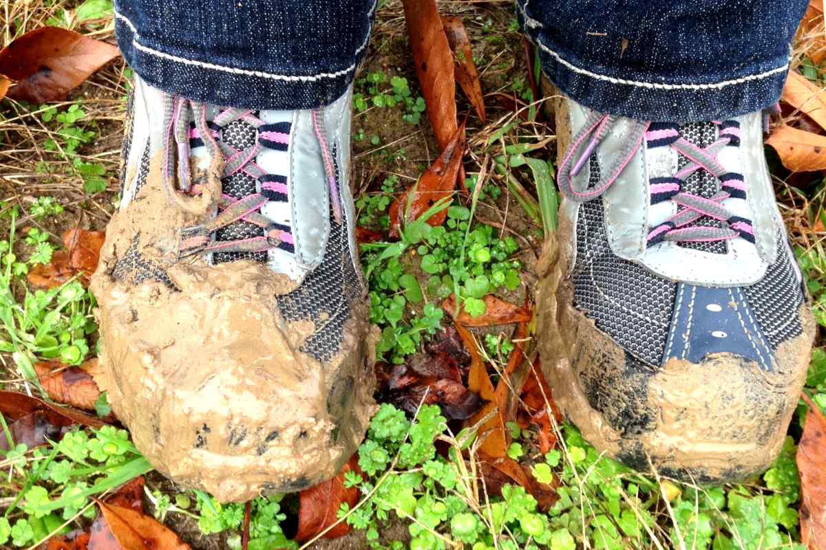 The Vegetable Patch by Nature & Garden