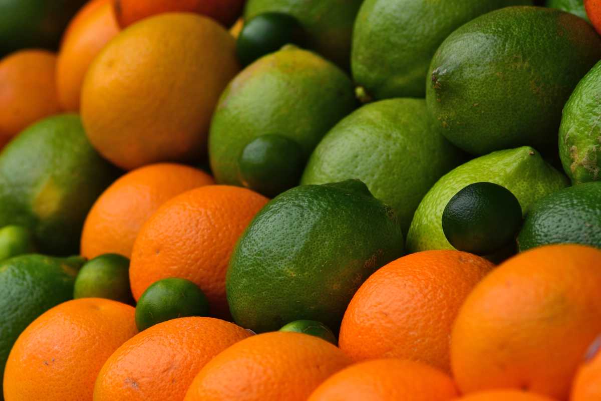 Citrus varieties, key examples to understand which to grow
