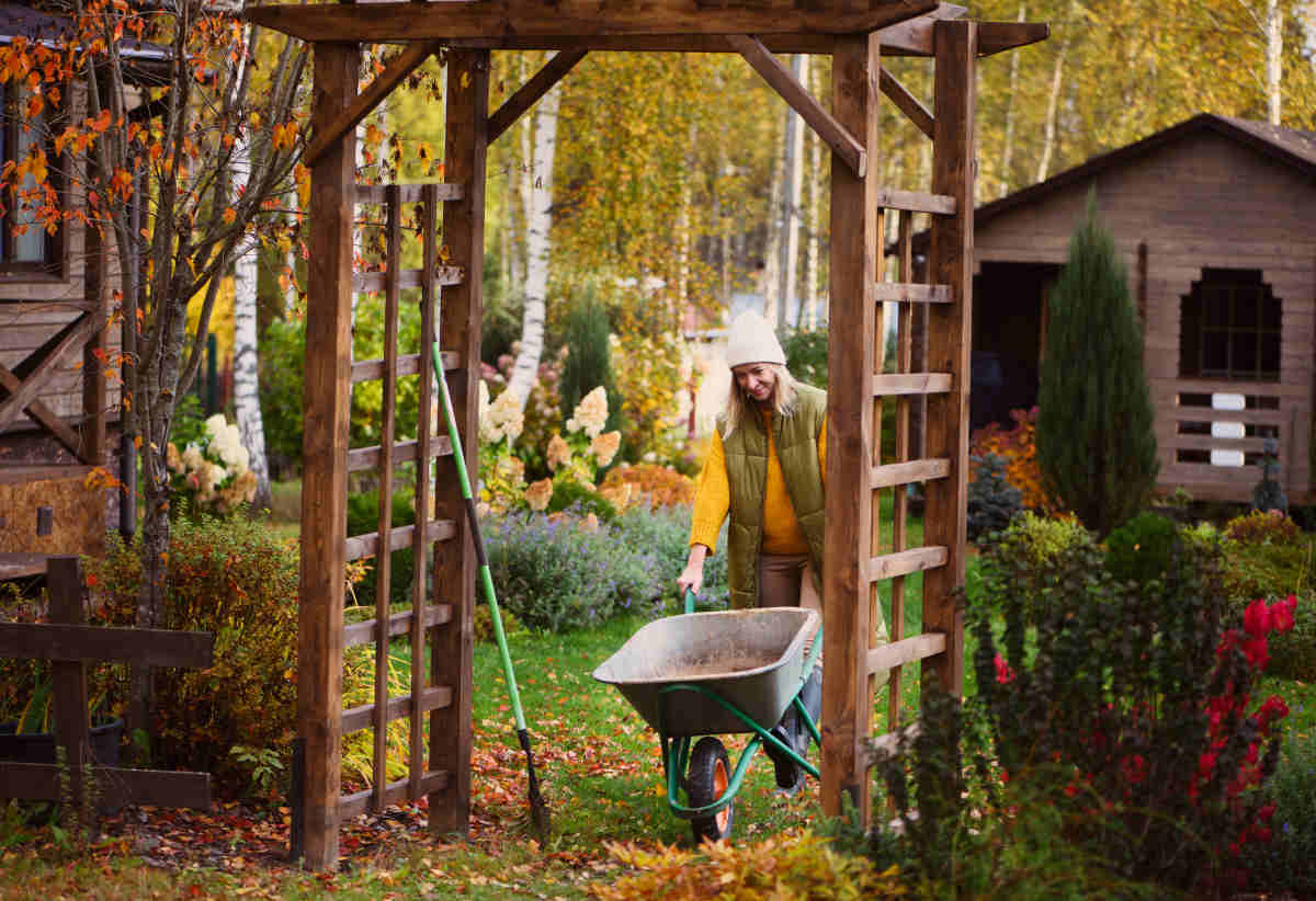 What to do in the garden in November