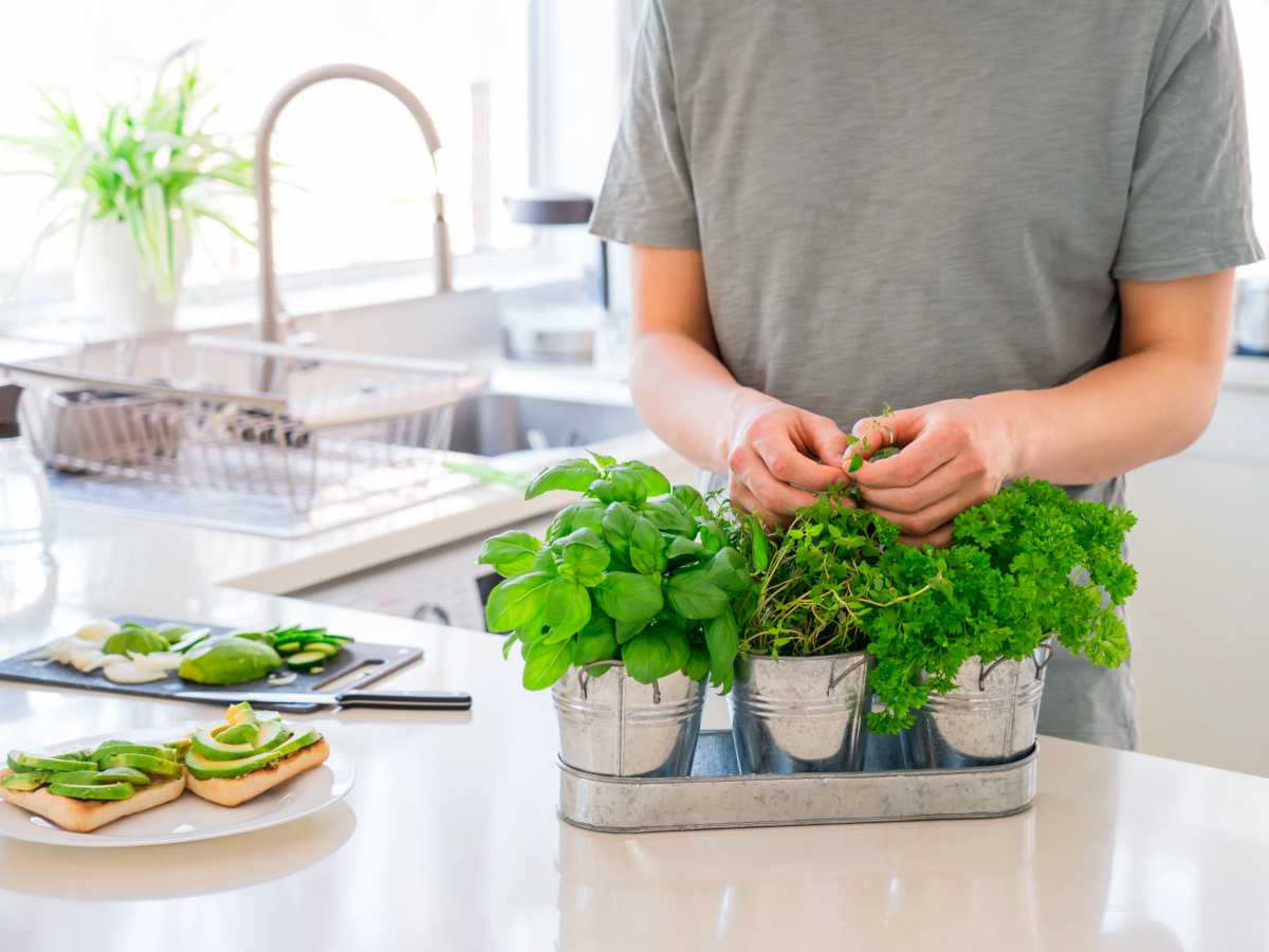 Over 30 fruits and veggies you can grow from kitchen scraps