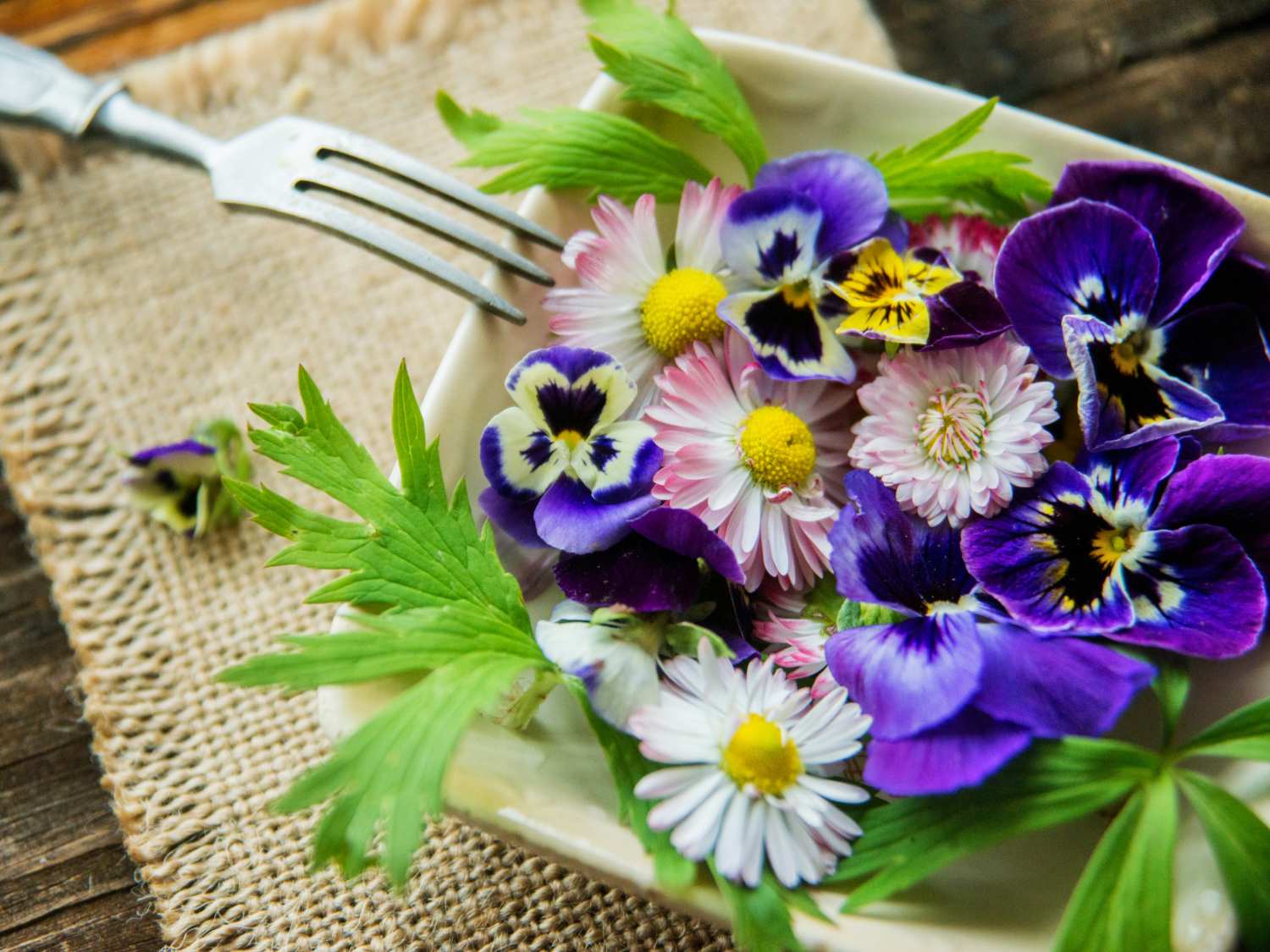 Edible flowers to grow for your meals and mixed salads